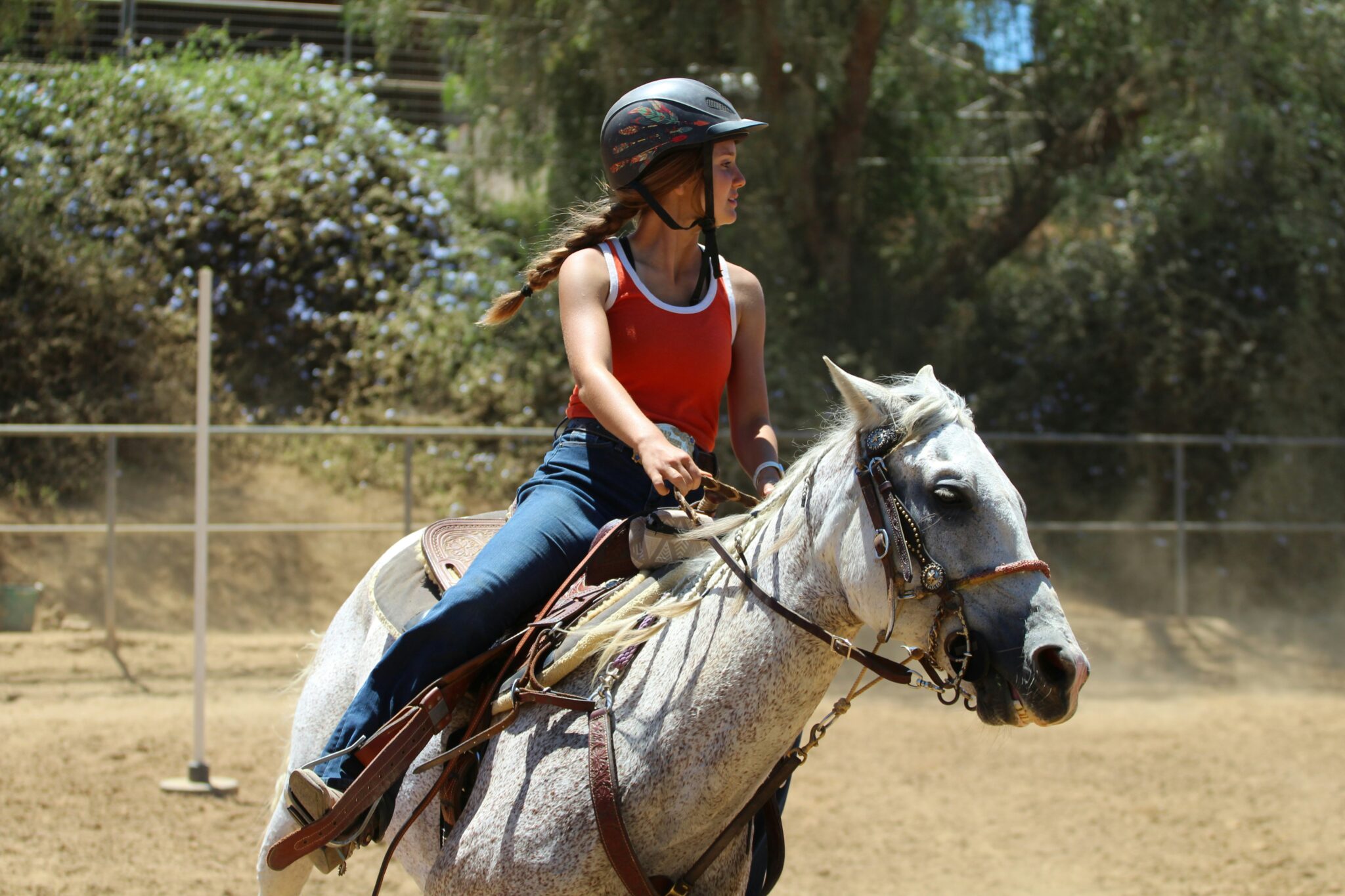Strong in the Saddle: Management of the Equestrian Athlete or ...